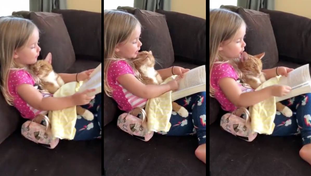 Adorable moment when a small girl reads a bedtime tale to her snoozing ...