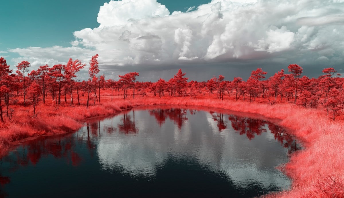 Latvia’s Natural Environment is Honored in Stunning Infrared ...