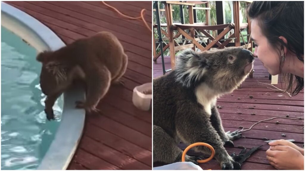 Fantastic 'Virgin' Pool Never Seen by Humans Found Deep in New Mexico ...