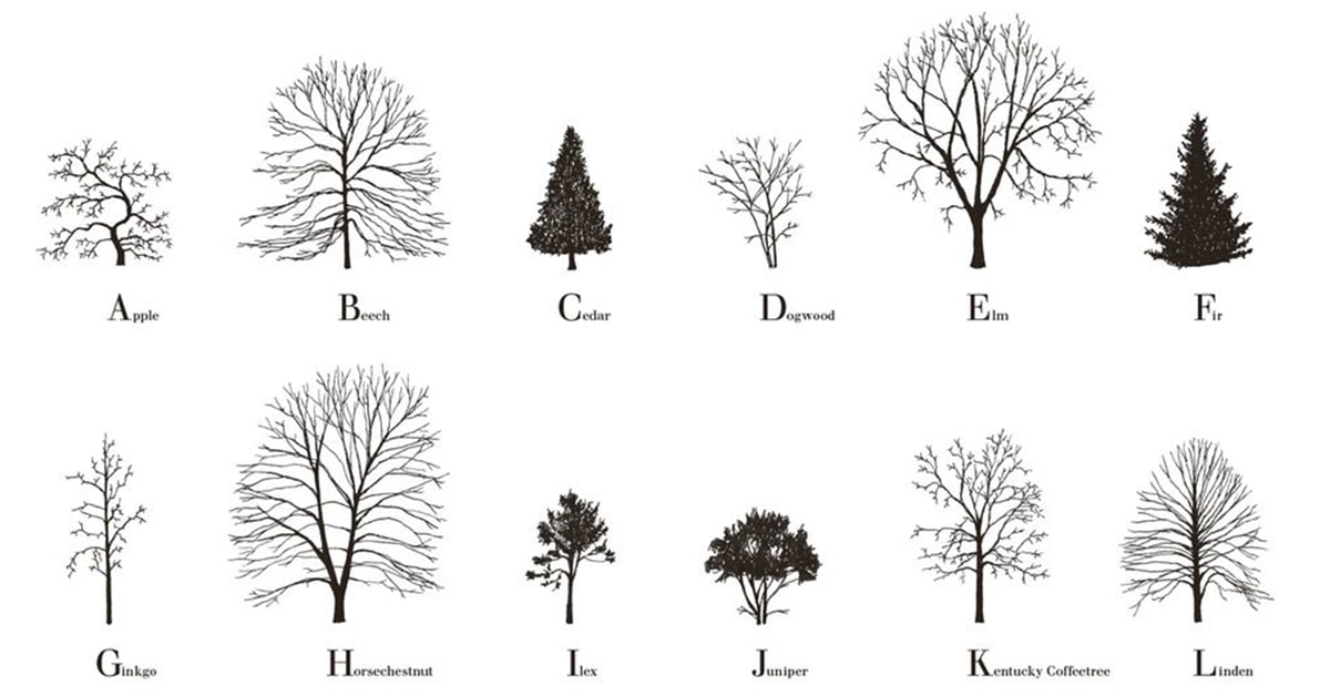 Secret Messages with Real Trees are being planted in NYC Parks thanks ...