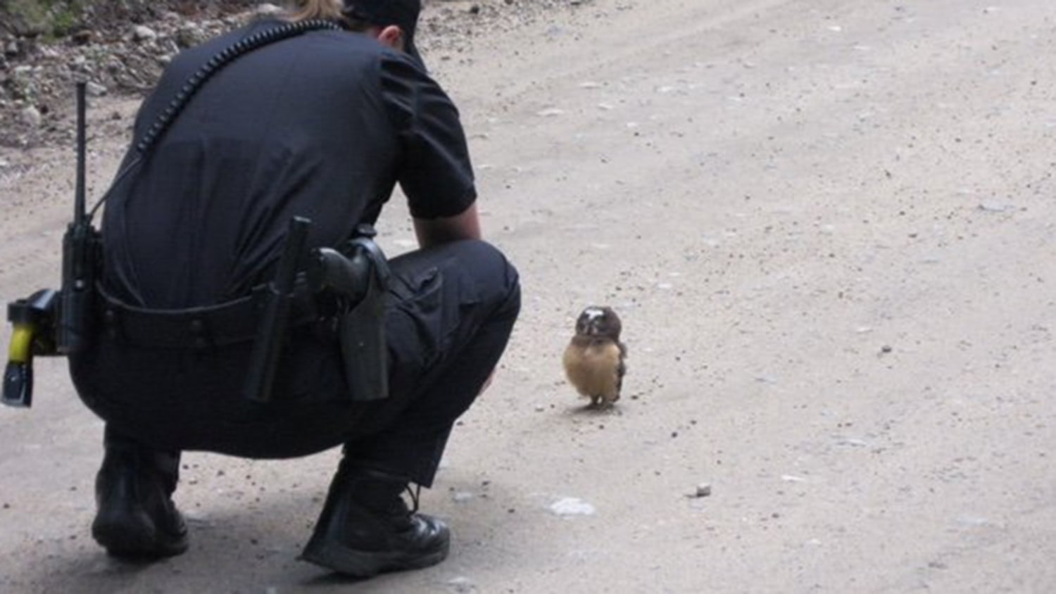 The sweetest dialogue ever between a police officer and a lovely baby ...