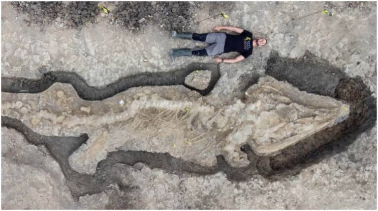 180-Million-Year-Old Sea Dragon Fossil Discovered in UK Reservoir ...