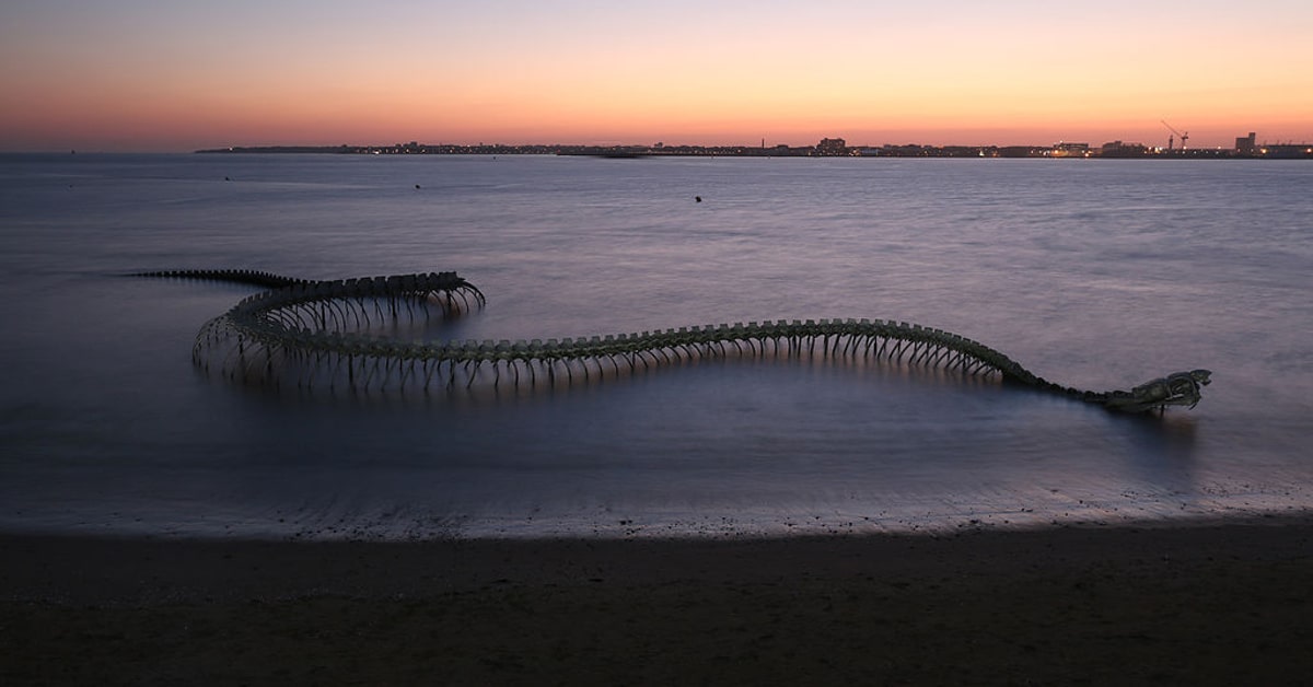 Off the coast of France, a massive serpent emerges from the sea - Hasan ...