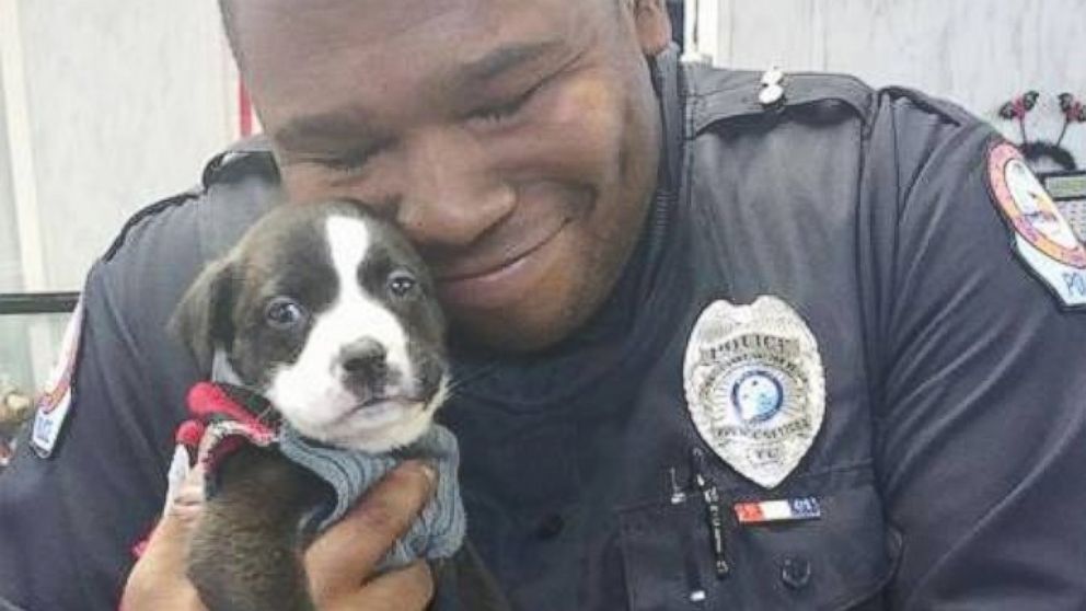 Officer Responds To A Regular Call And Falls In Love With A Little Dog ...