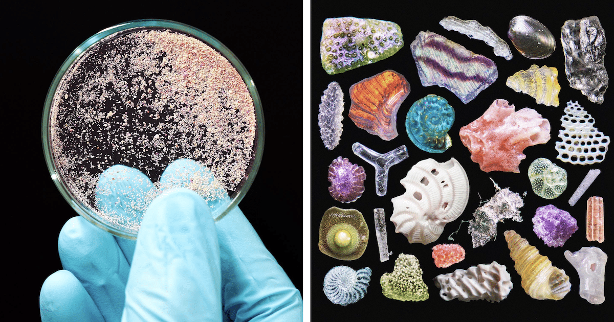 Macrofying the Beach: An Up-Close Look at Sand Under a Microscope ...