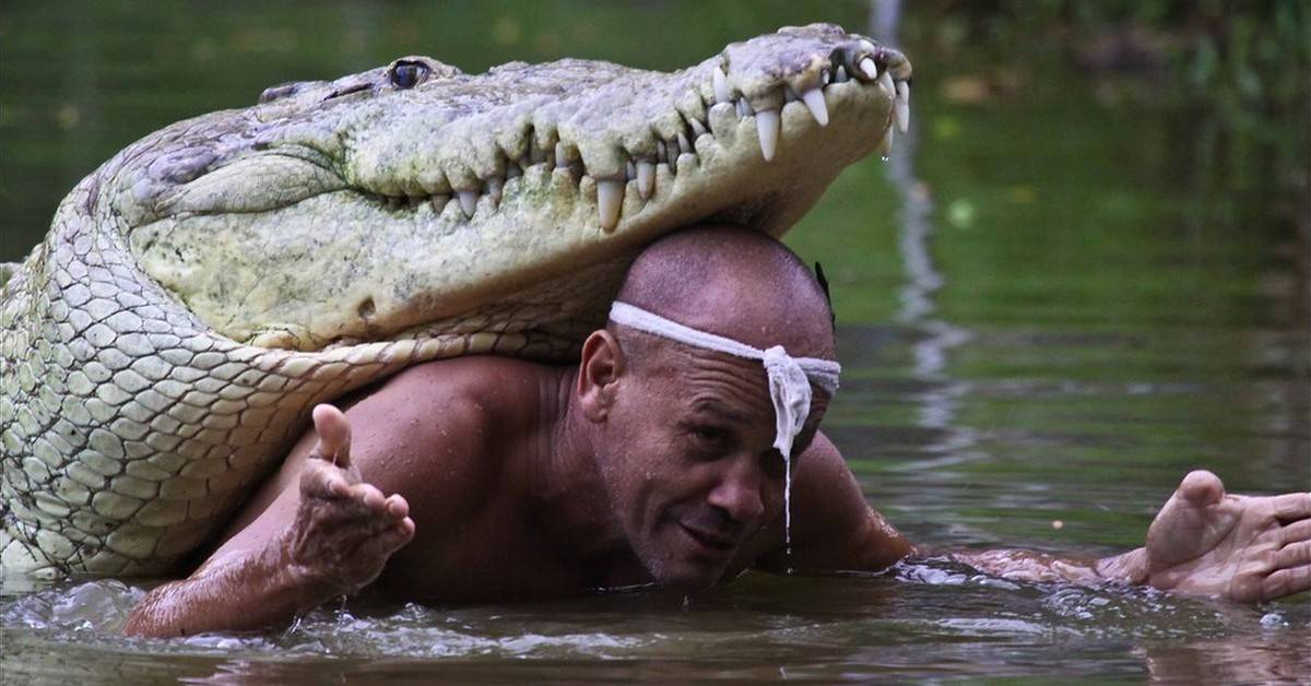 This man saved a dying crocodile, and the two became best friends for ...