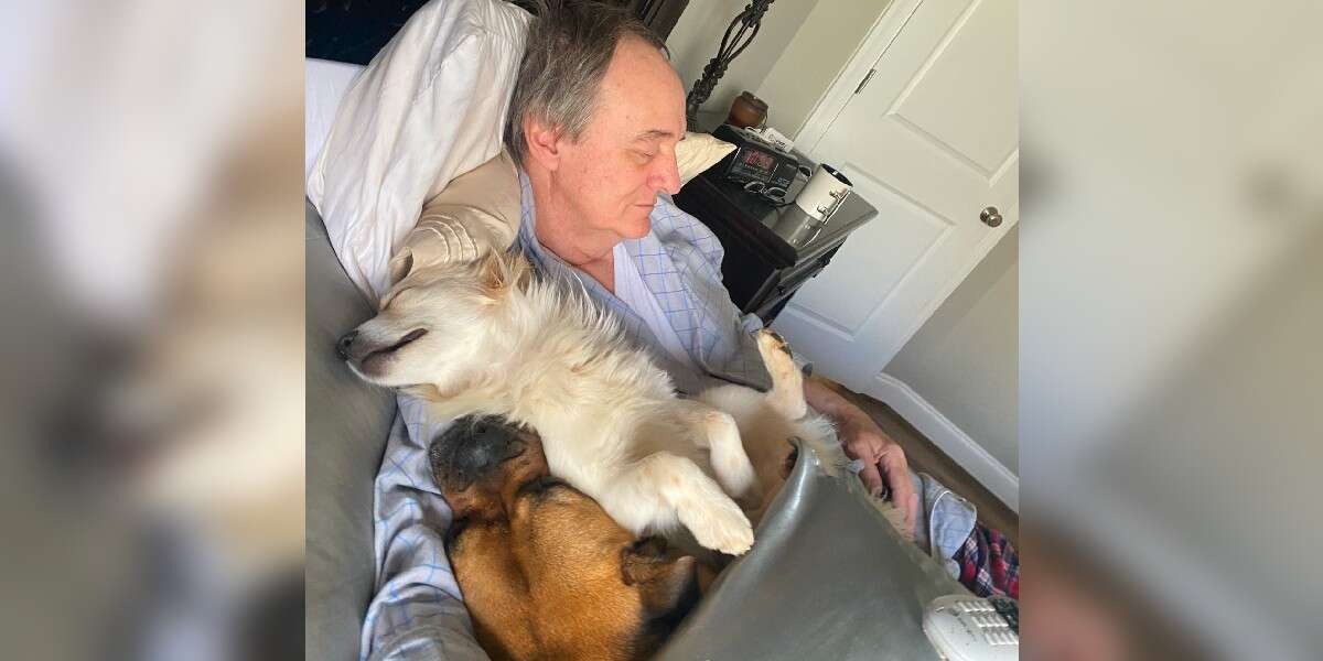 A Woman Walks In On Her Father Napping With All Of The Neighborhood ...
