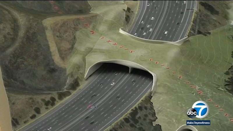 Near Los Angeles, The World’s Largest Wildlife Overpass will be ...