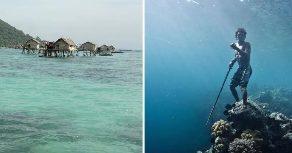 The Bajau People Have Adapted to Living on the Ocean and Can Stay ...