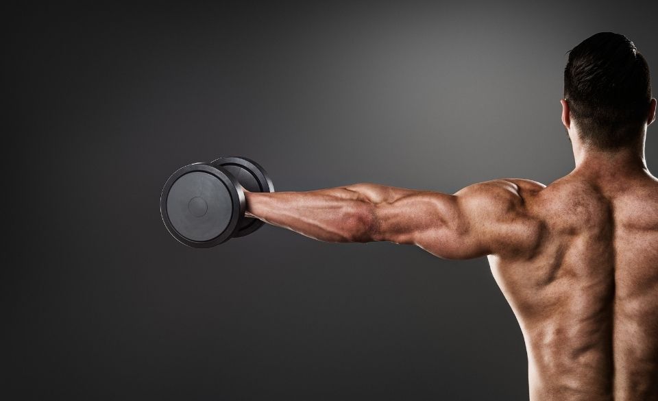 Are 21 inch shoulders wide? - Hasan Jasim