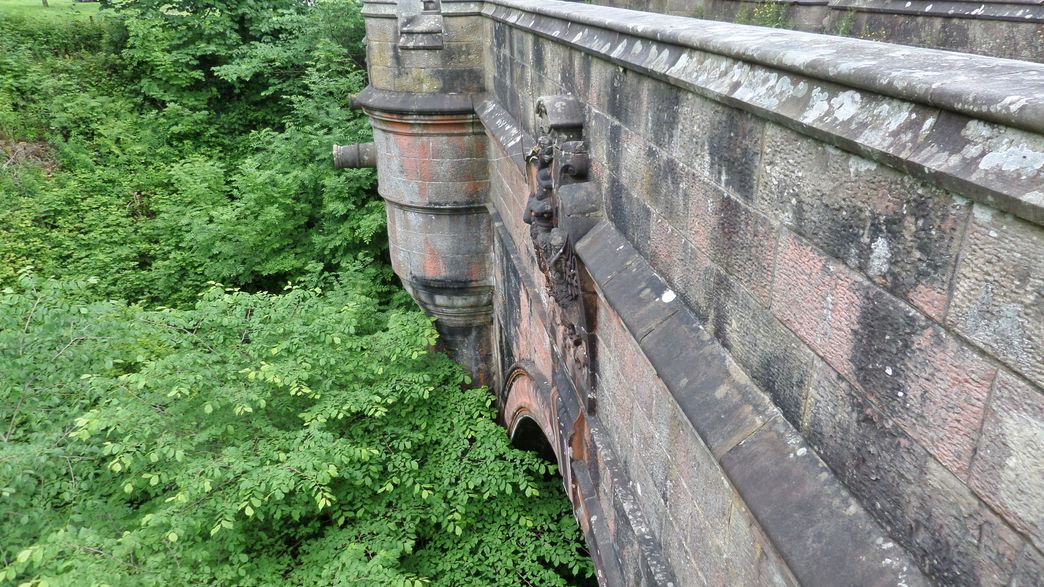 Why Do Dogs Continue to Jump Off Scotland’s “Dog Suicide Bridge ...