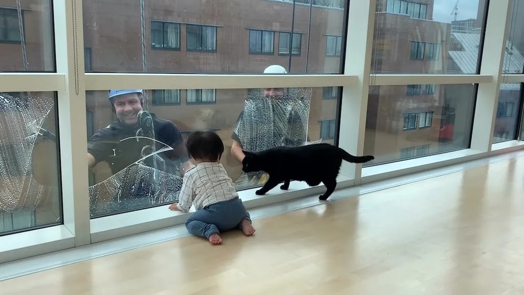 A Tiny Toddler Enjoys Watching Window Washers at Work with His Black ...