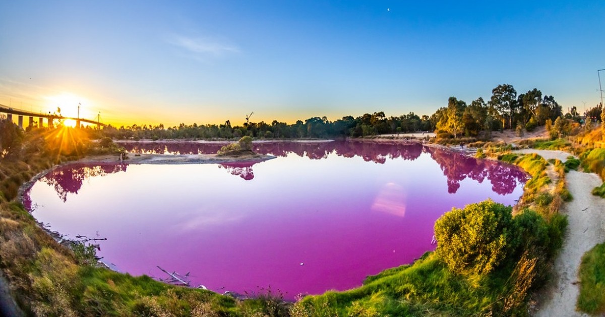 Australia’s Extraordinary Pink Lakes Appear to Be From Another Planet ...