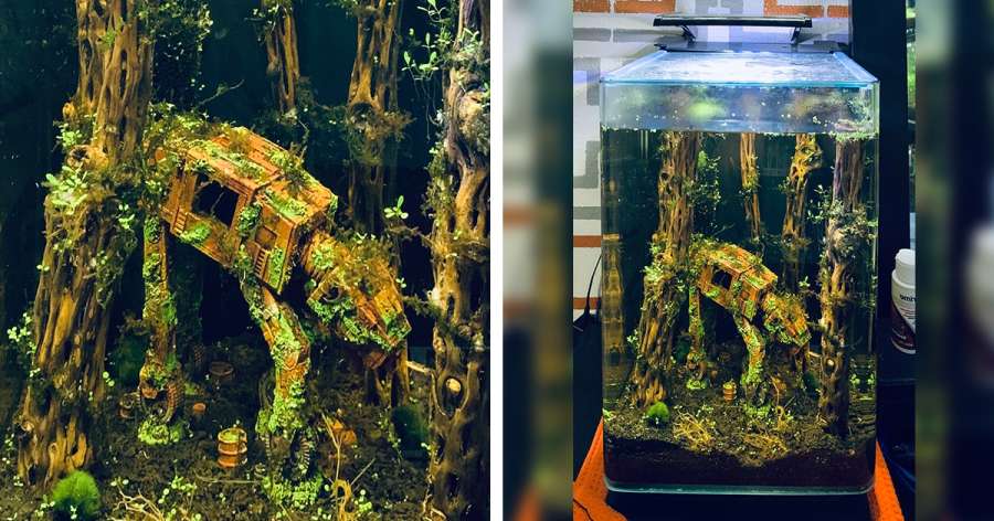 Woman Constructs a Fish Tank Inspired by “Star Wars” That resembles an ...