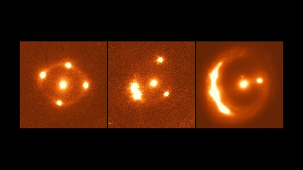 The Story Behind the Epic Photo of a Snake-Swallowing Frog - Hasan Jasim