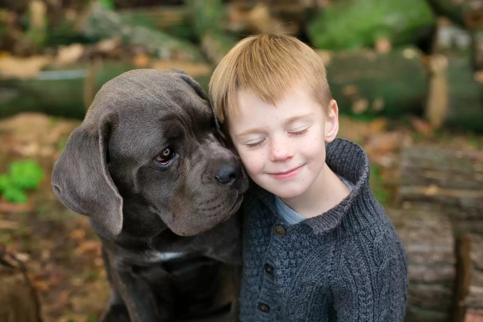 A Recent Study Found That Dogs Had A Soothing Influence On Youngsters ...