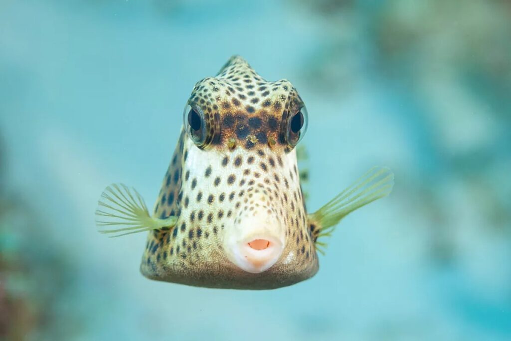 Unraveling the Mystery of the Beauty of Loulan: Ancient Mummy Sheds ...