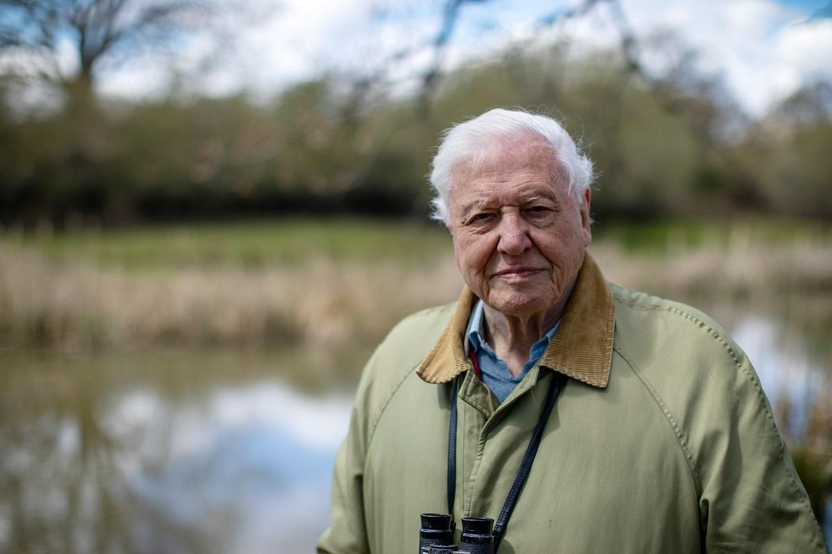 David Attenborough filming in Wiltshire for new BBC series - Hasan Jasim