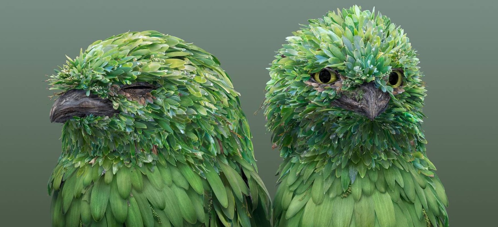 Artist Creates Animal Portraits Out of Flower Petals and Leaves - Hasan ...