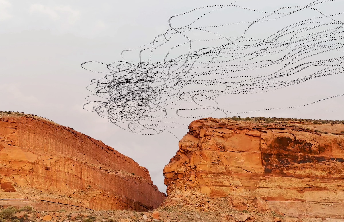 Photographer Creates Mesmerizing Flight Trails of Winged Creatures as a ...