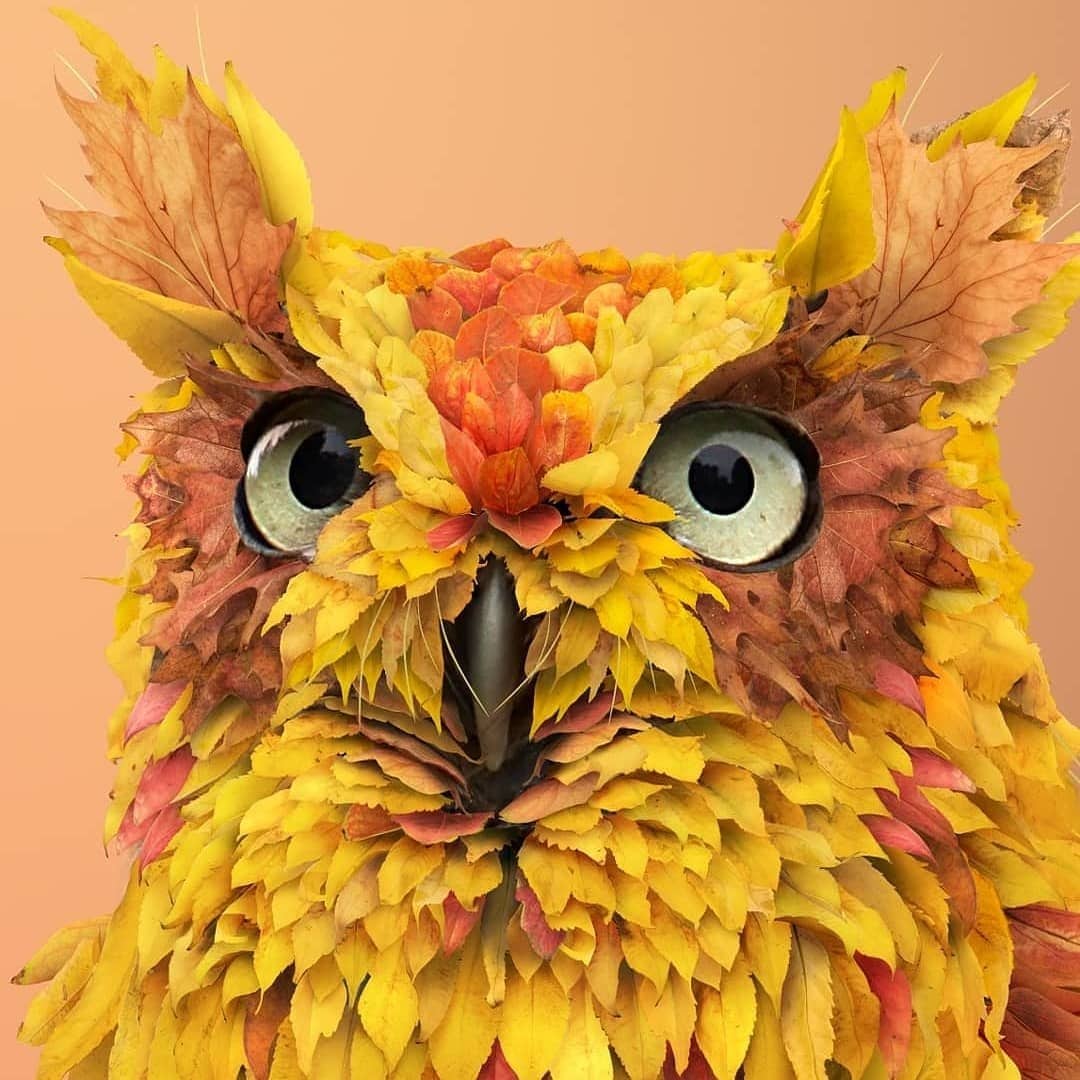 Artist Creates Animal Portraits Out of Flower Petals and Leaves - Hasan ...