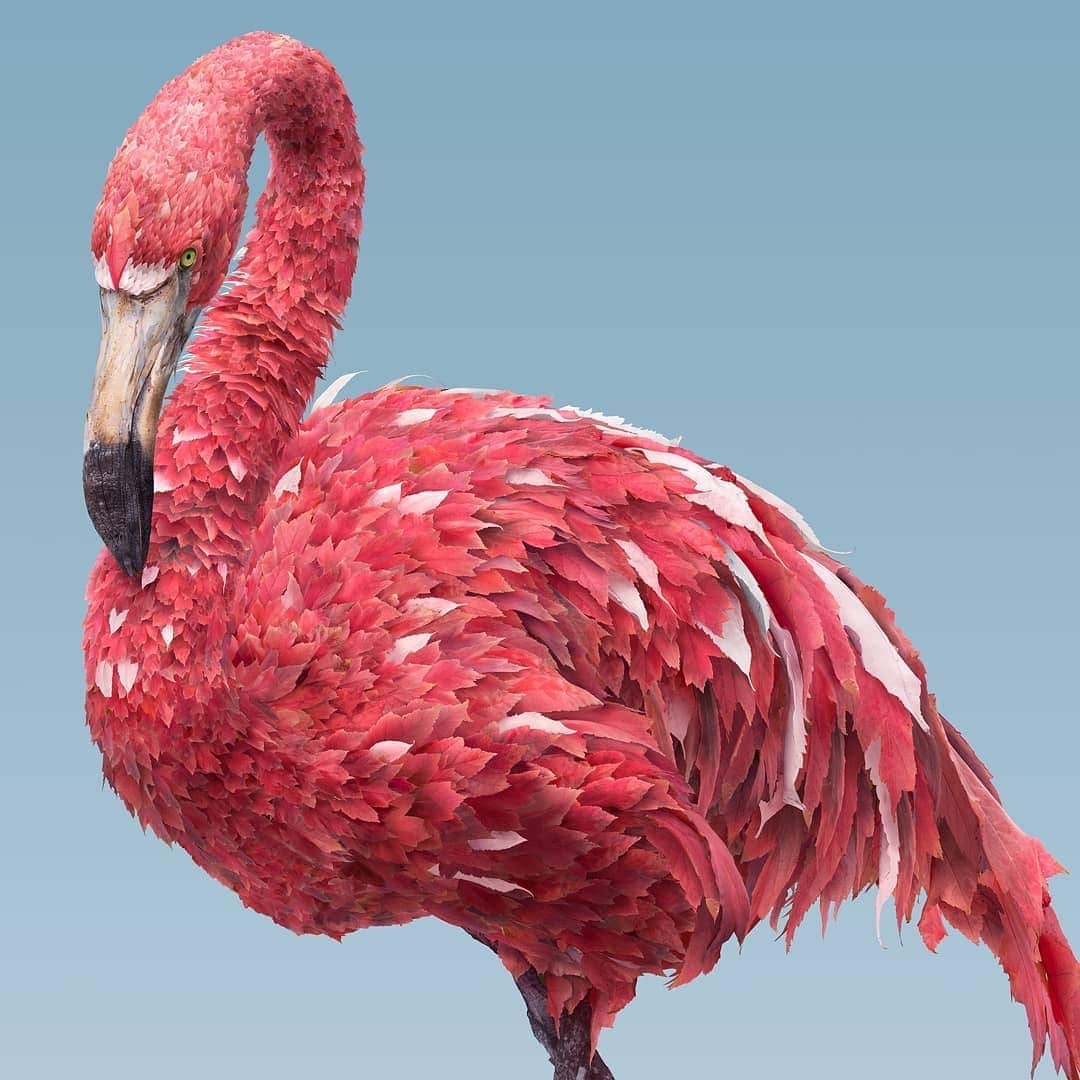 Artist Creates Animal Portraits Out of Flower Petals and Leaves - Hasan ...