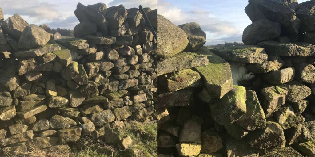 The Story Behind the Windows XP Desktop: The Real Location of the Bliss ...