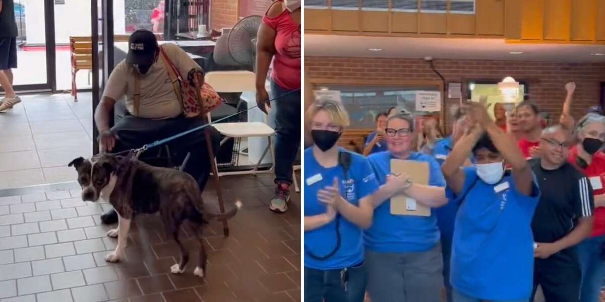 Watch This Emotional Moment As A Long-Overlooked Dog Is Finally ...