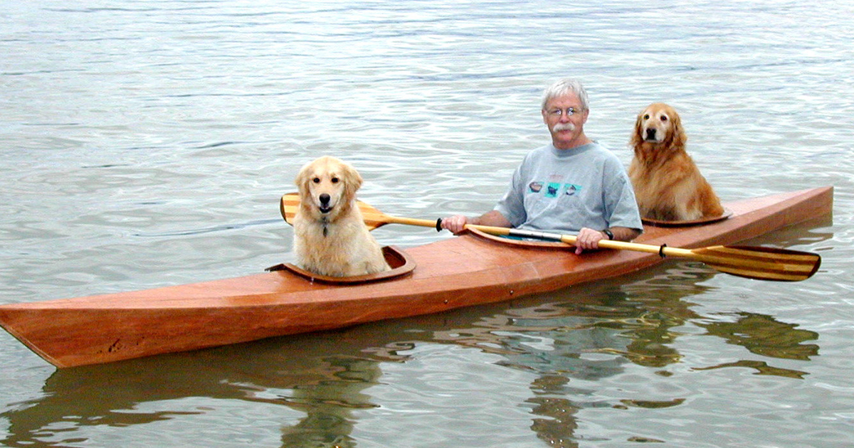 A Man Creates a Modified Kayak So That He Can Paddle with His Two Dogs ...
