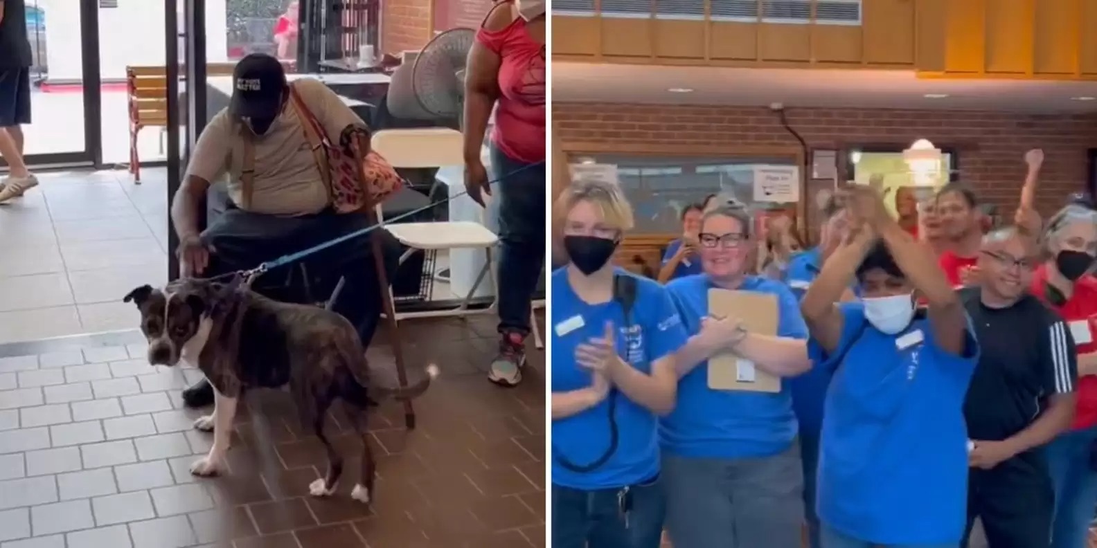 Watch The Touching Moment As Long Ignored Dog Finally Returns Home ...