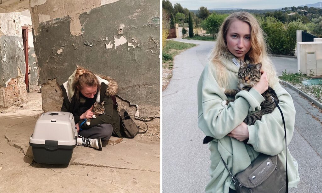 Exploring the Ancient Path: Stane Street, the Roman Road Connecting ...