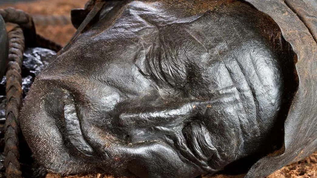 Guts Reveal the Last Meal of an Amazingly Preserved Bog Body from 2,400 ...