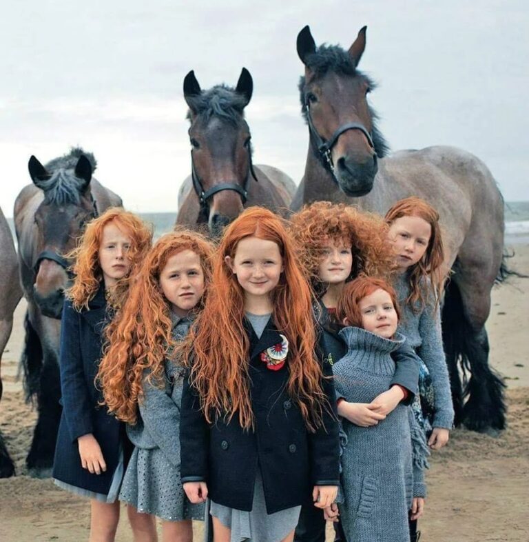 Why Do Most Irish People Have Red Hair? - Hasan Jasim