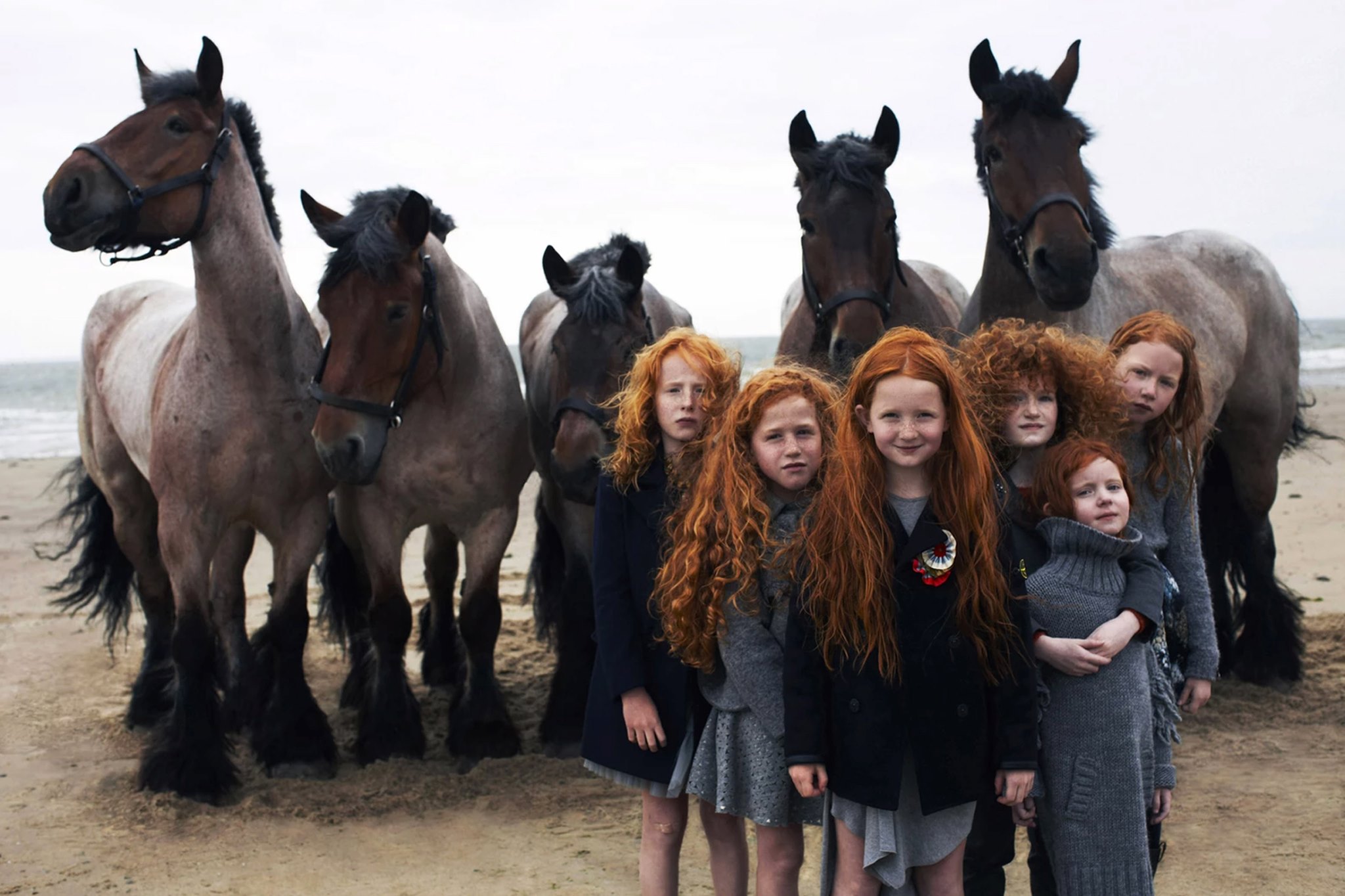 Why Do Most Irish People Have Red Hair? - Hasan Jasim
