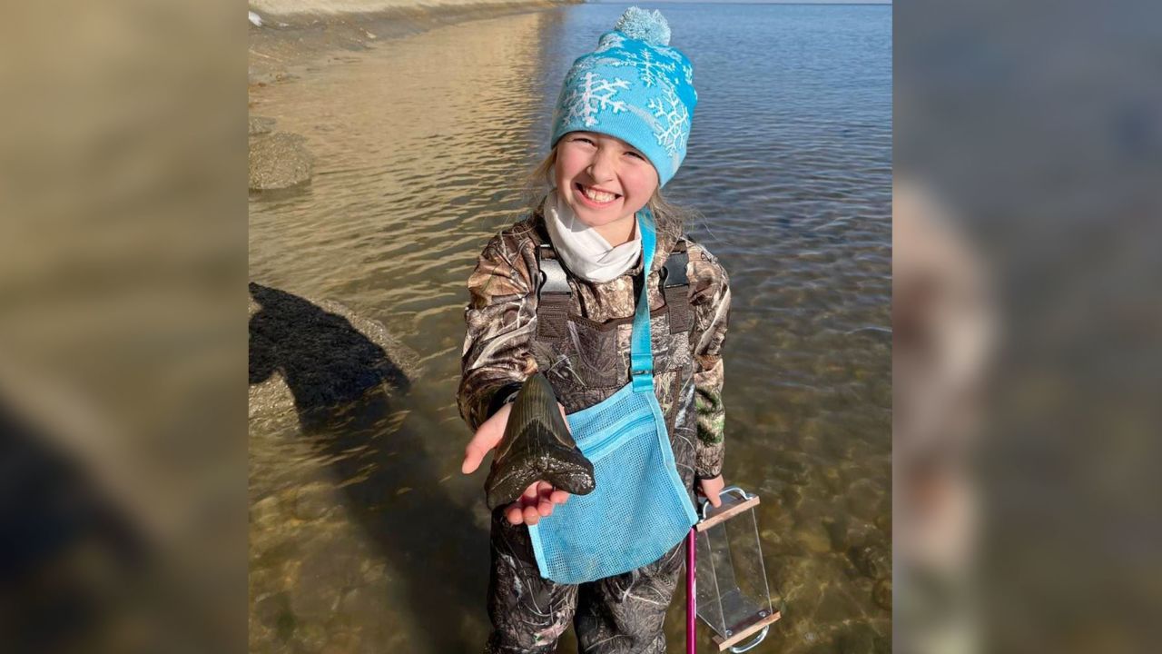 A 9-year-old girl from Maryland finds a "once in a lifetime" megalodon ...