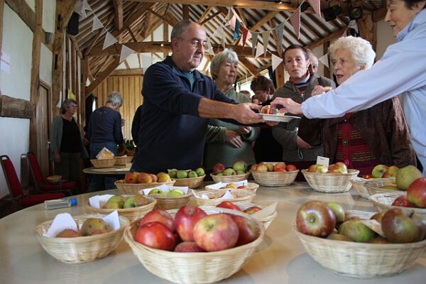 The Appalachian Apple Hunter Who Saved 1200 Lost Varieties - Hasan Jasim