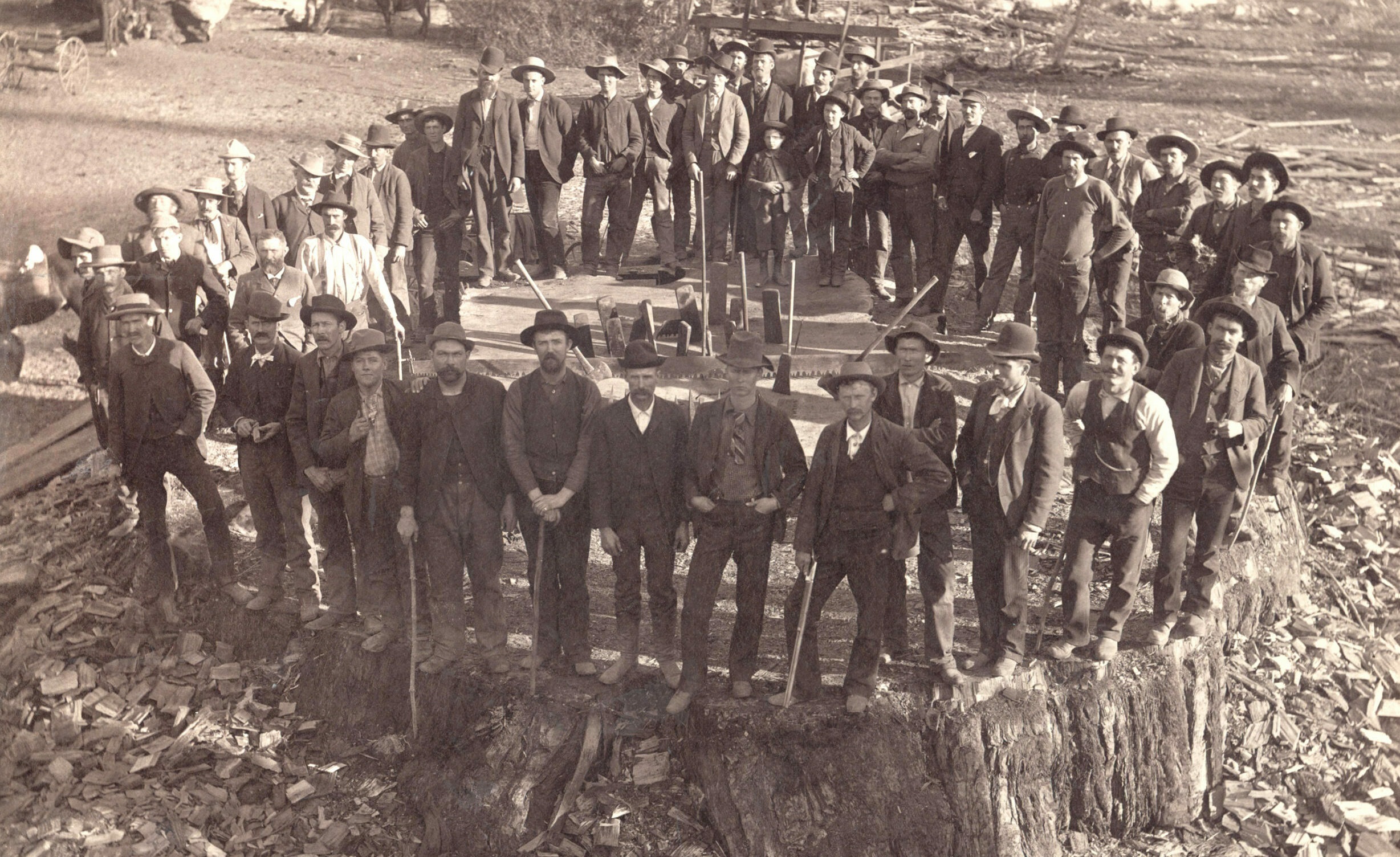The Intriguing History Of The Enormous Sequoia Tree Known As Mark Twain ...