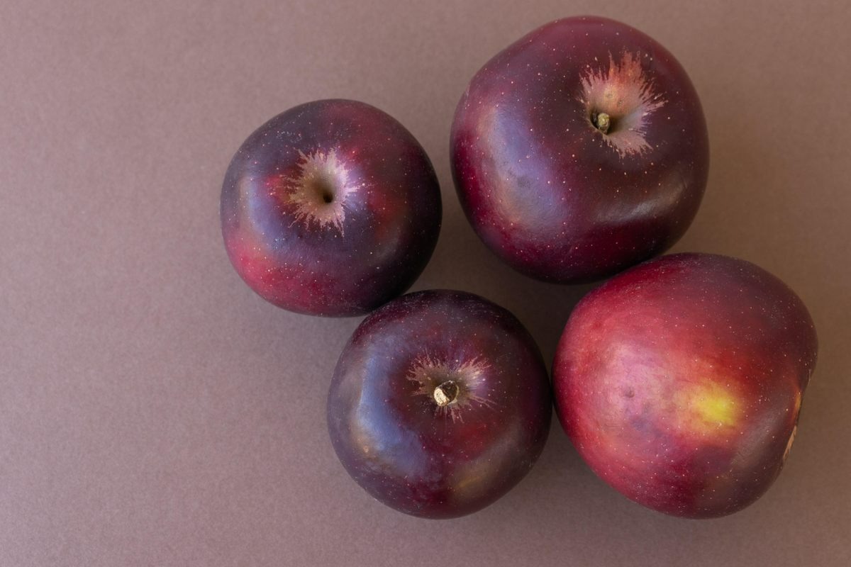 The Appalachian Apple Hunter Who Saved 1200 Lost Varieties - Hasan Jasim