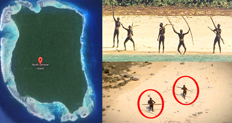 Just Enough Room Island, The Worlds Smallest Inhabited Island And The ...