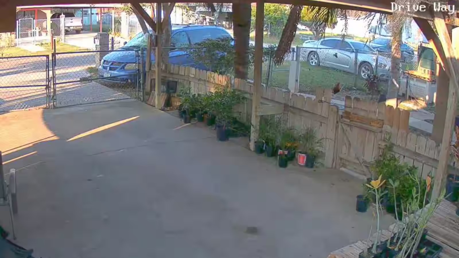 Doorbell Camera Captures Half-Ton Meteor Crashing with Sonic Boom in ...