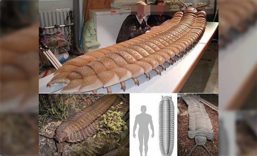 Giant Millipedes ‘as Big as Cars’ Once Roamed Northern England, Fossil ...