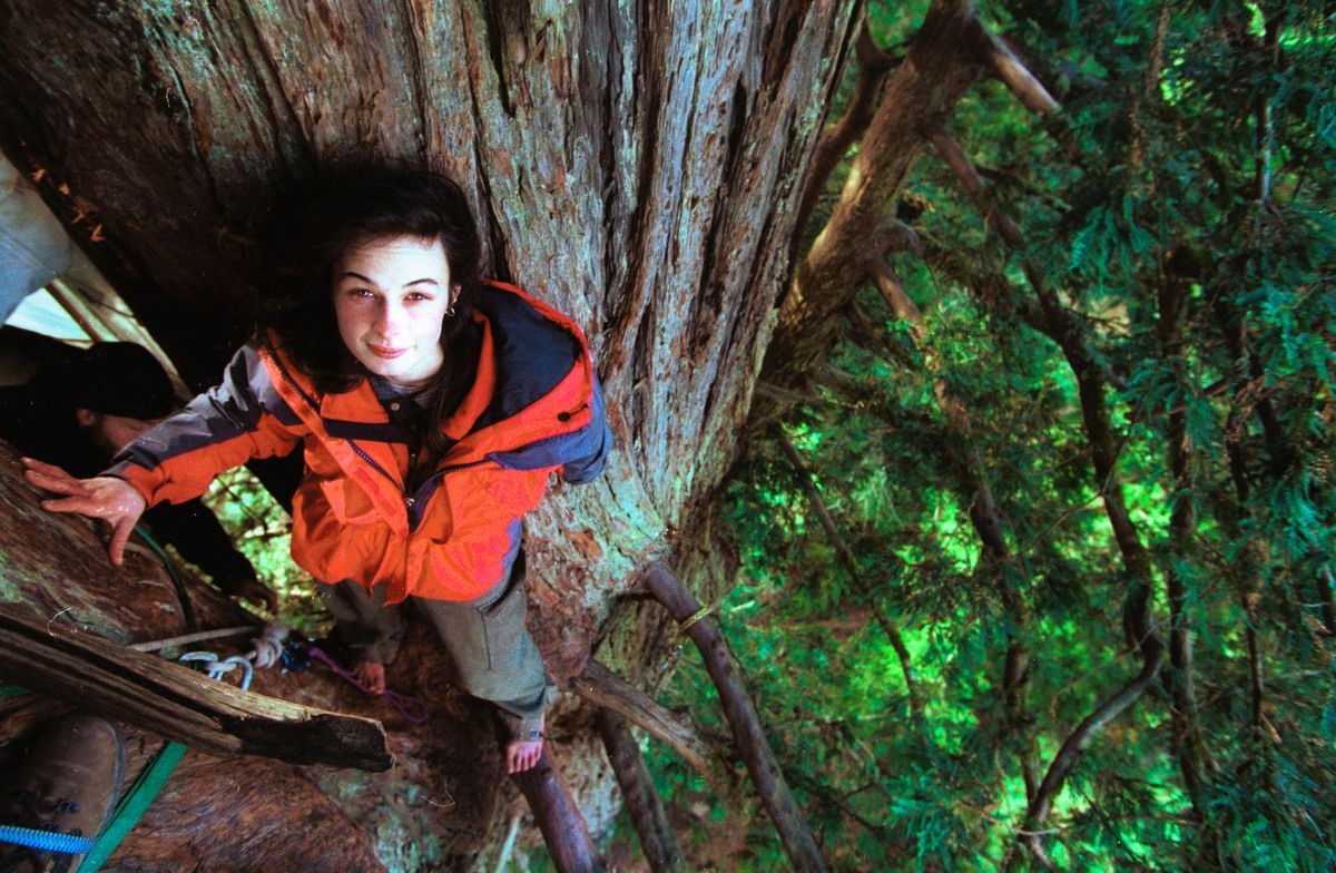 The Incredible Story of the Girl Who Spent 738 Days Living in a Redwood ...