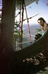 The Incredible Story of the Girl Who Spent 738 Days Living in a Redwood ...