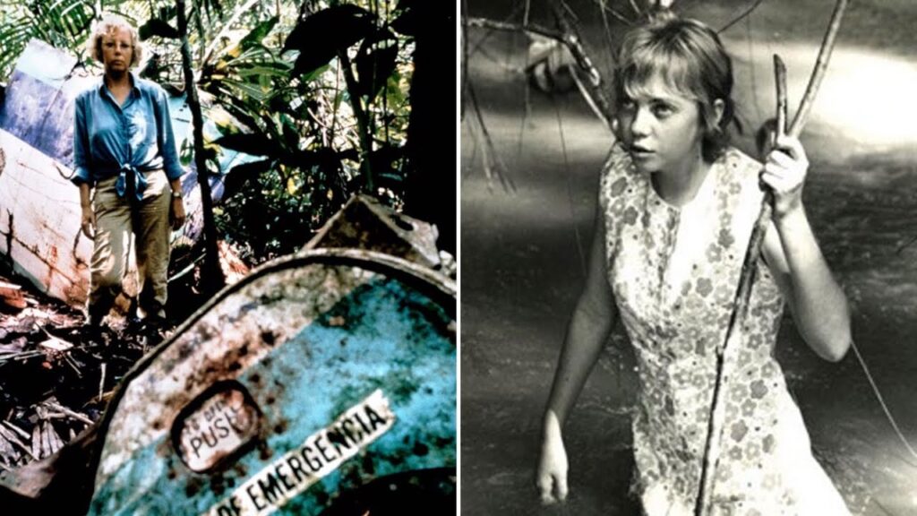 Japanese Koshu: Pink Grapes with a Rich History - Hasan Jasim