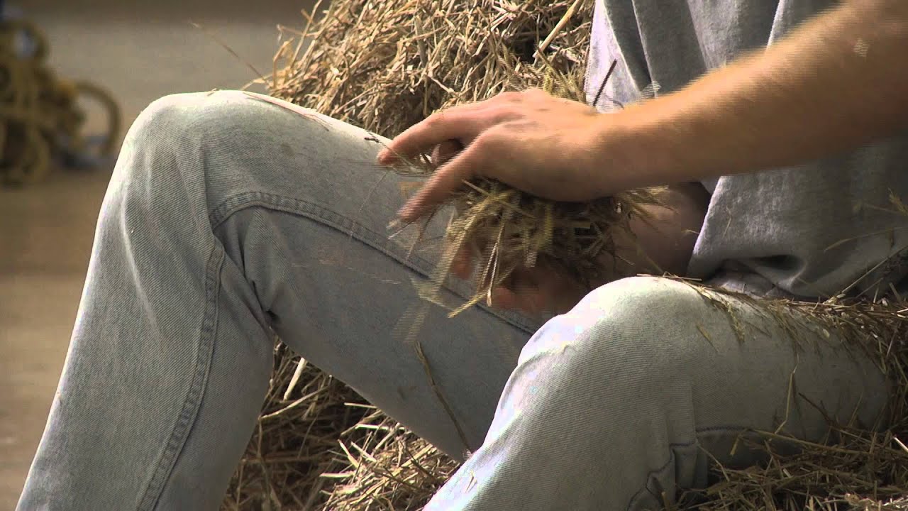 The Needle in the Haystack: Italian Artist Successfully Completes Mind ...