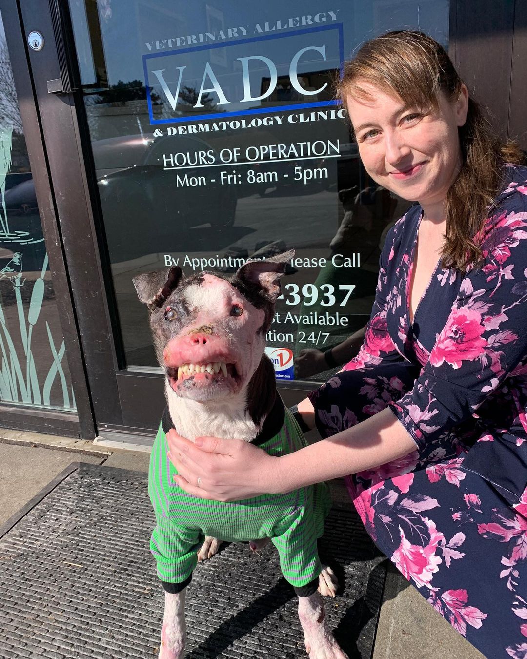 Rescue dog with autoimmune disease that proved beauty comes from within ...