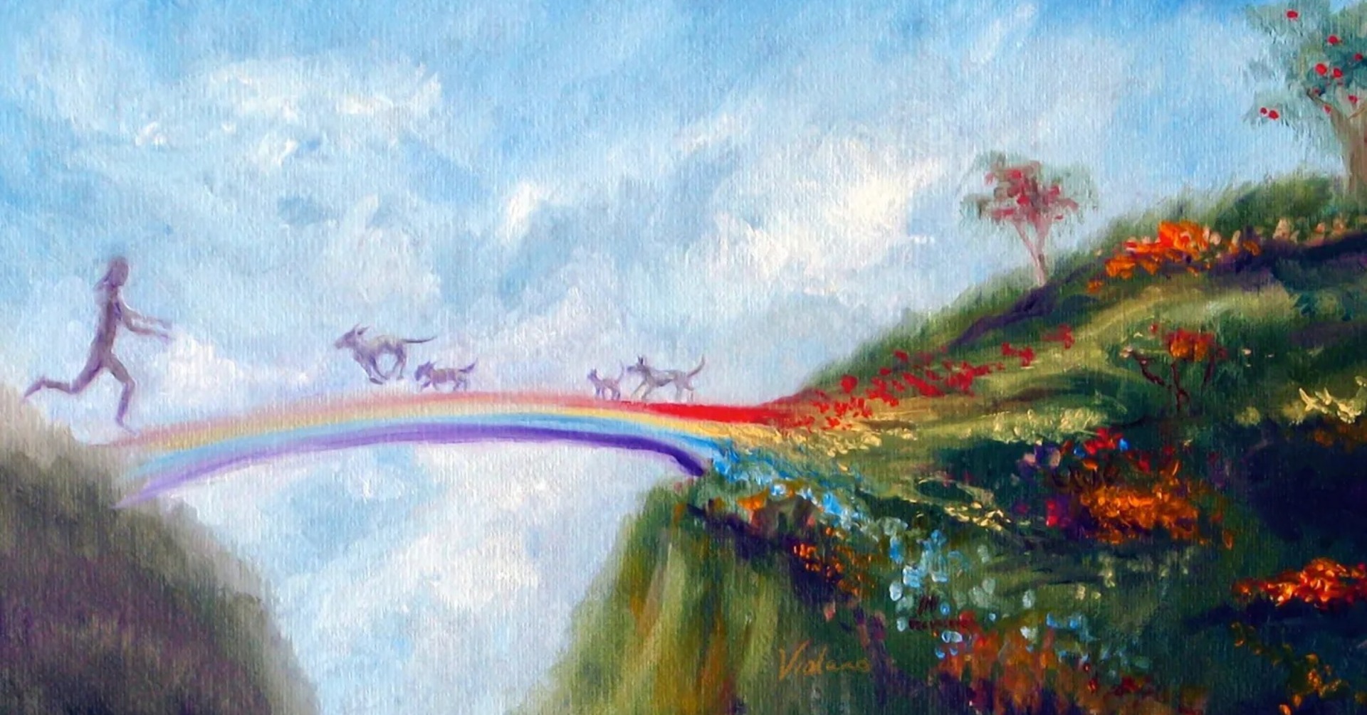 The Rainbow Bridge: A Comforting Tale for Pet Owners - Hasan Jasim