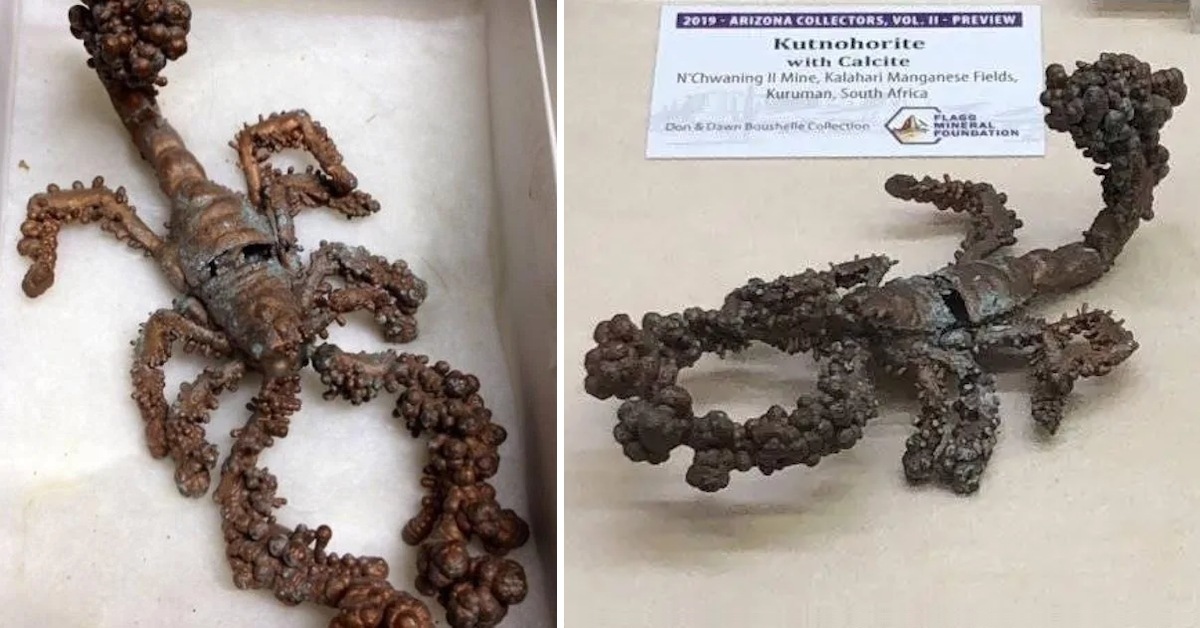 The Mysterious Copper Scorpion Found in an Arizona Mine: Understanding ...