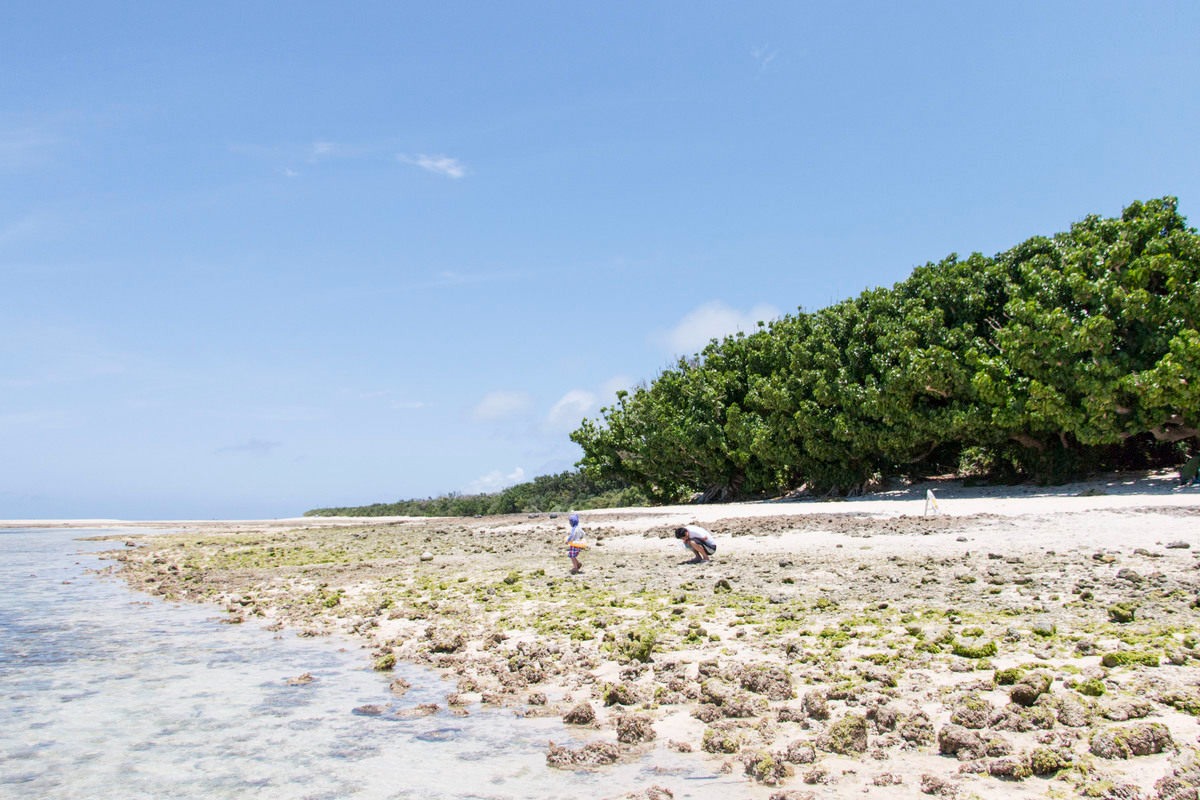 Discover the Unique Star Sand Beach in Okinawa, Japan - Hasan Jasim
