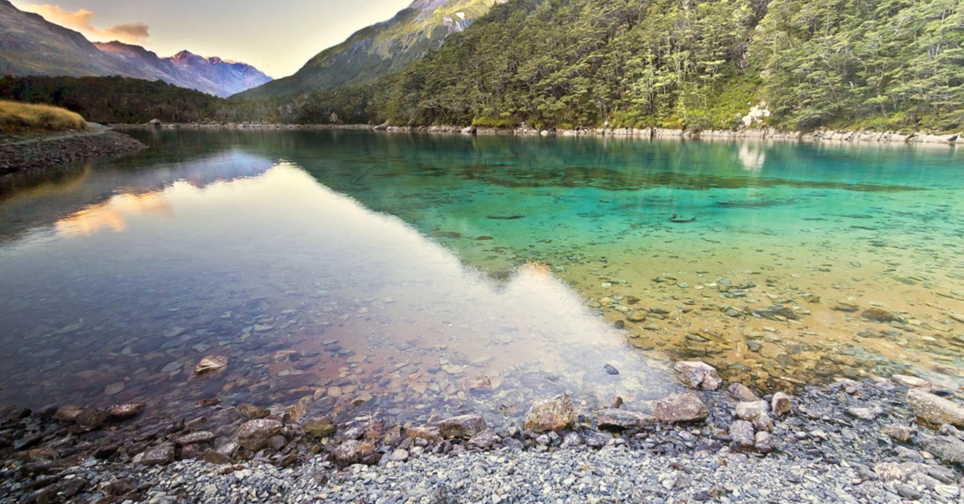 Blue Lake in Nelson, New Zealand: The Clearest Lake in the World ...